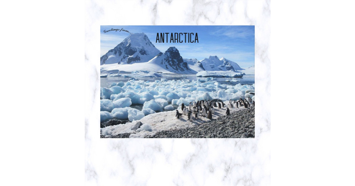 Penguins on Pourquoi Pas Island Antarctica Postcard | Zazzle