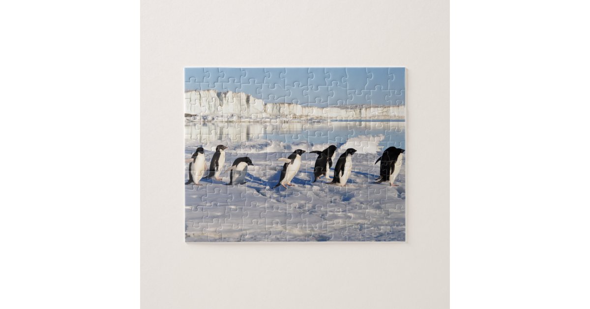 Penguins Puzzle | Zazzle
