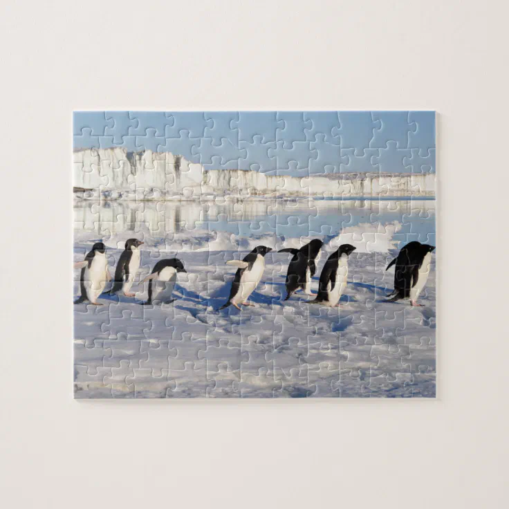 Penguins Puzzle | Zazzle