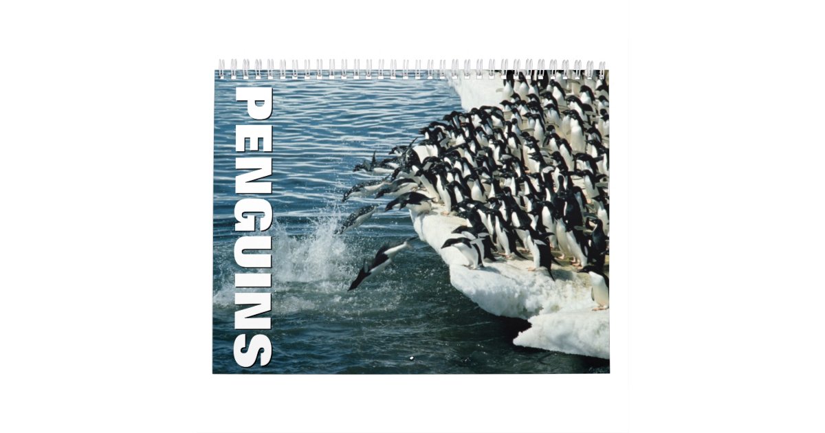 Penguins Wall Calendar | Zazzle