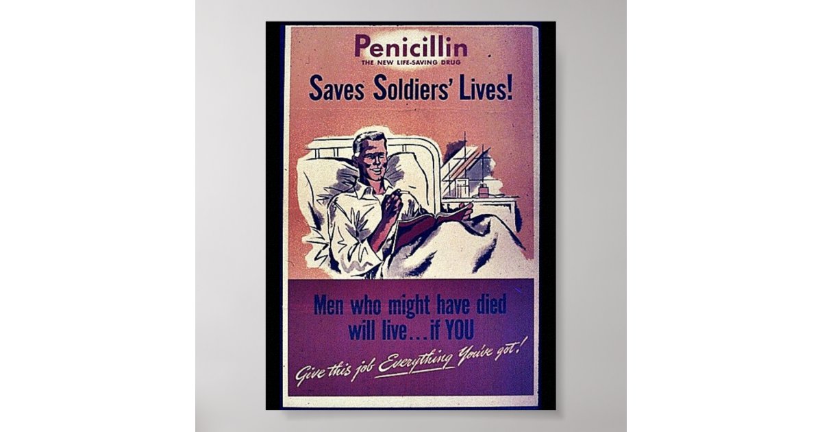 Penicillin Poster | Zazzle