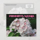 Pennsylvania State Flower: Mountain Laurel Postcard | Zazzle