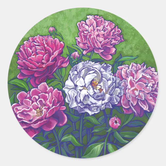 Peonies Classic Round Sticker | Zazzle