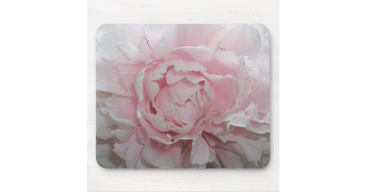 Peony Close Up Mousepad | Zazzle