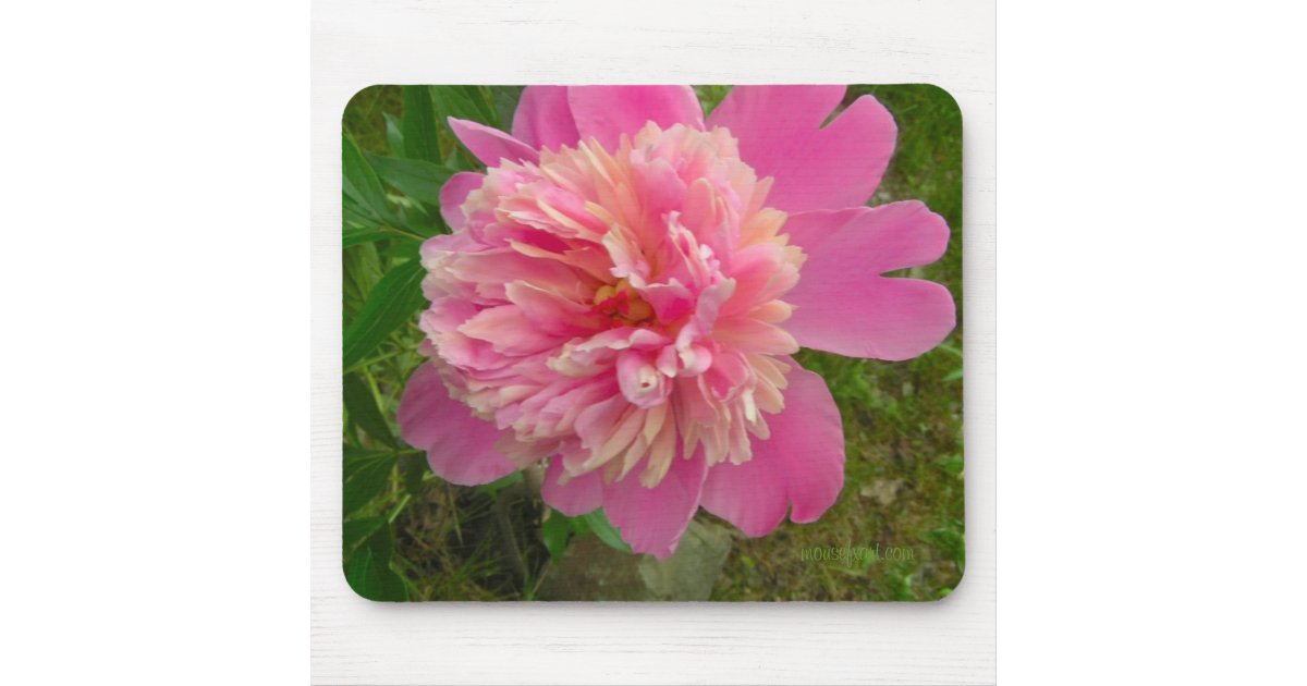 Peony Mousepad | Zazzle
