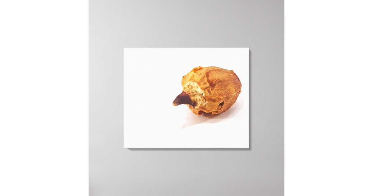 Pepper Pod Canvas Print | Zazzle