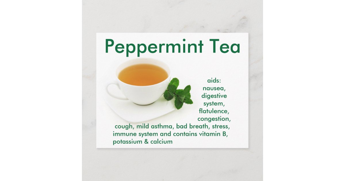 Peppermint Tea Postcard | Zazzle