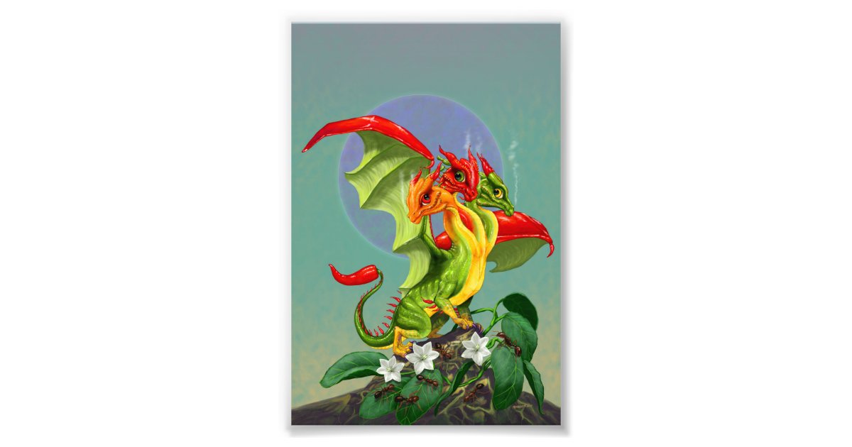Peppers Dragon 4x6 Print | Zazzle