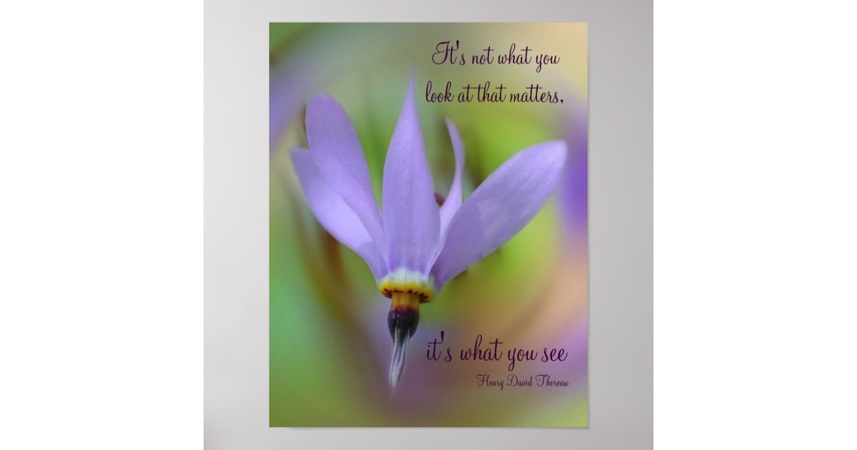 Perception Quote Purple Flower Inspirational Poster | Zazzle