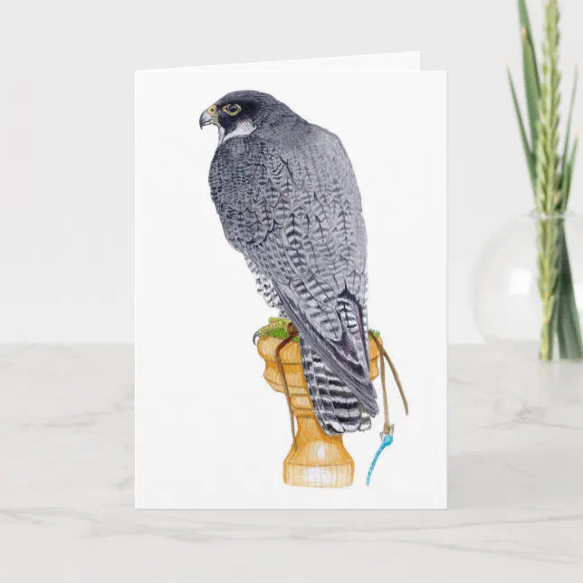 Peregrine Falcon Birthday Card | Zazzle