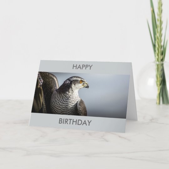 Peregrine Falcon Birthday Card | Zazzle.com