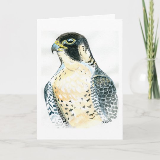 Peregrine Falcon Birthday Card | Zazzle.com