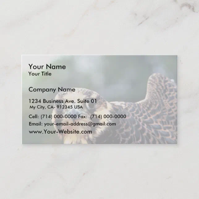 Peregrine Falcon Business Card | Zazzle