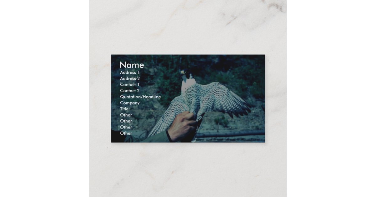 Peregrine Falcon Business Card | Zazzle