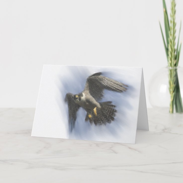 Peregrine Falcon in Flight Card | Zazzle