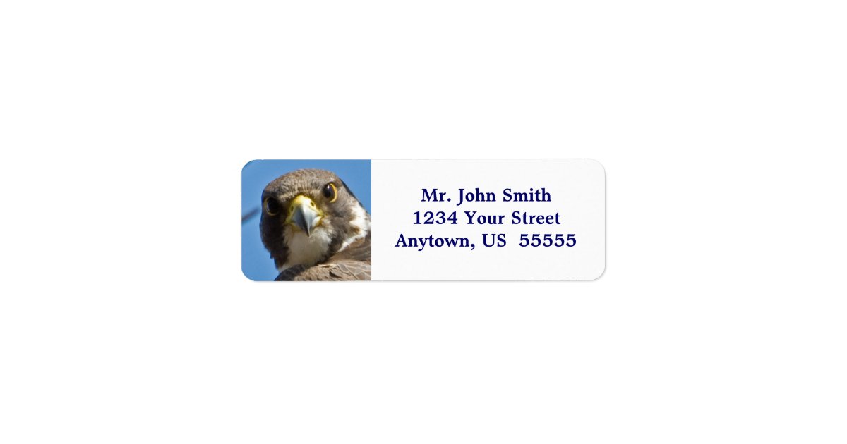 Peregrine Falcon Label | Zazzle