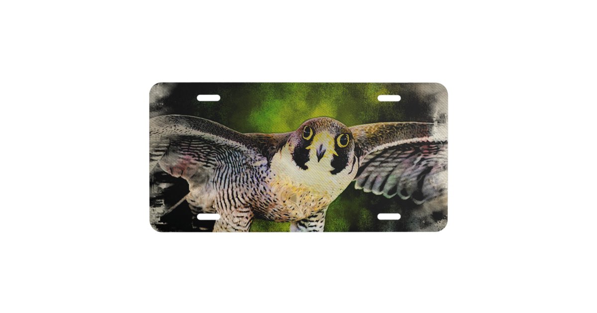 Peregrine Falcon License Plate | Zazzle