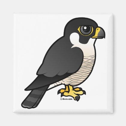 Peregrine Falcon Coloring Page