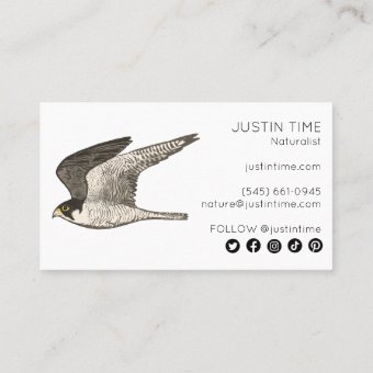 Peregrine Falcon Naturalist Guide Birdwatching Business Card | Zazzle