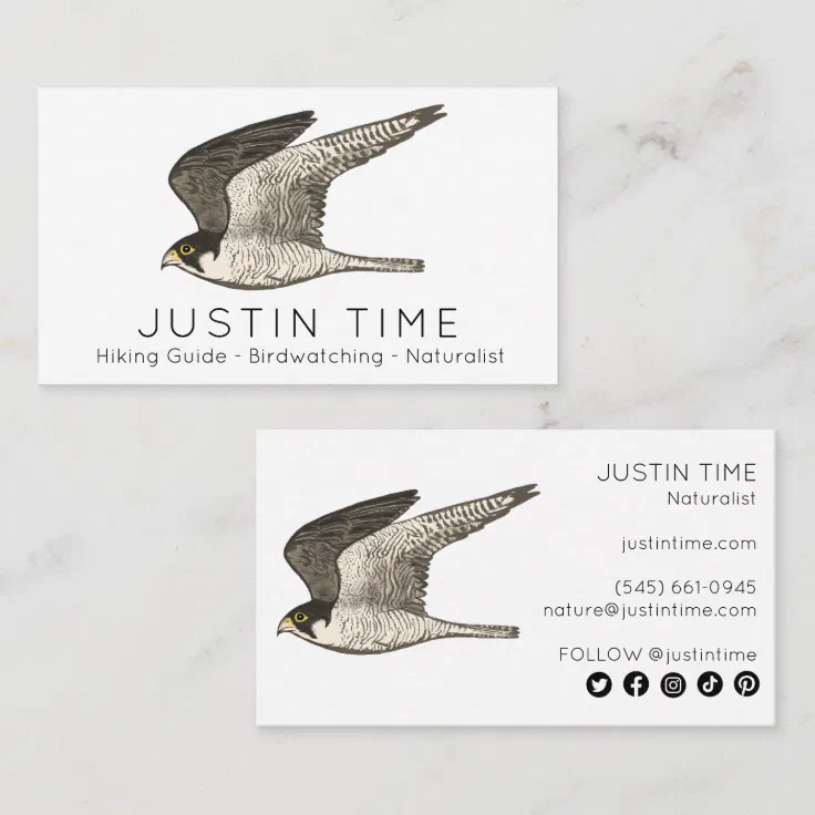 Peregrine Falcon Naturalist Guide Birdwatching Business Card | Zazzle