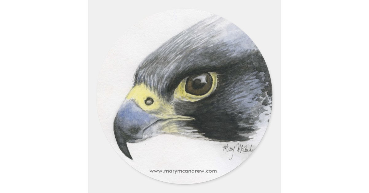 Peregrine Falcon stickers | Zazzle