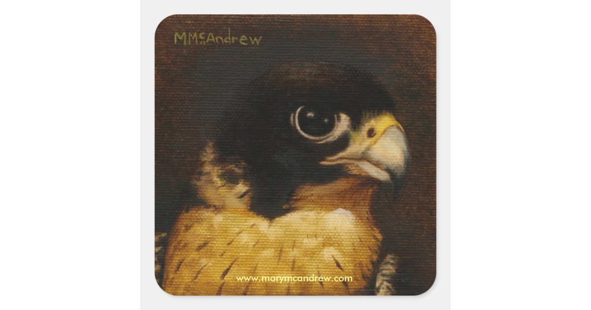 "Peregrine Falcon" Thank You stickers | Zazzle