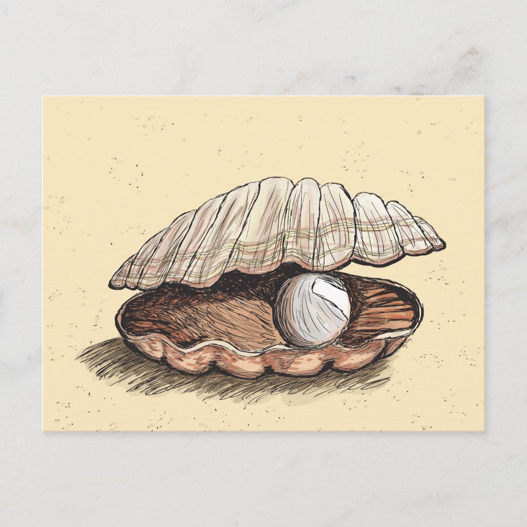 Perfect Pearl Seashell Postcard | Zazzle