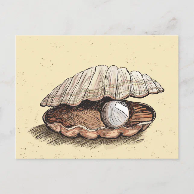 Perfect Pearl Seashell Postcard | Zazzle