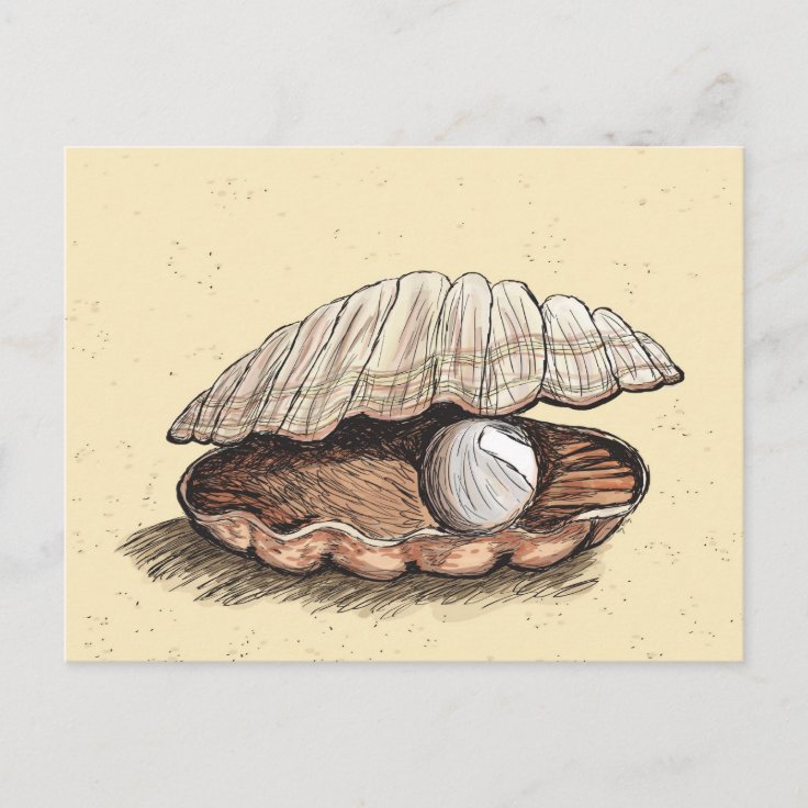 Perfect Pearl Seashell Postcard | Zazzle