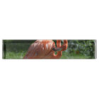Funky Flamingo Custom Nameplate | Zazzle.com