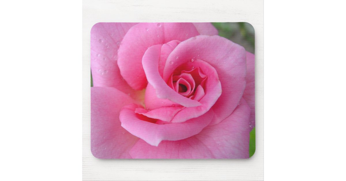 Perfect Pink Rose Mouse Pad | Zazzle