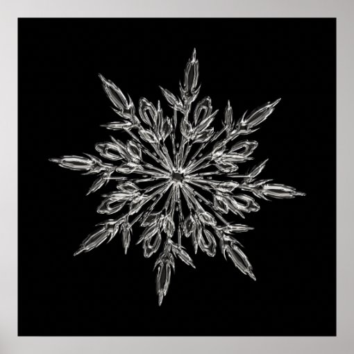Perfect Snowflake for the Christmas Holiday Poster | Zazzle