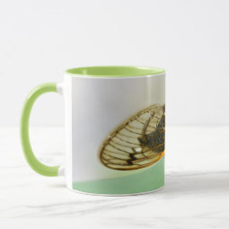 Periodical cicada mug - enjoy coffee with Brood X | Zazzle