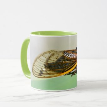 Periodical cicada mug - enjoy coffee with Brood X | Zazzle
