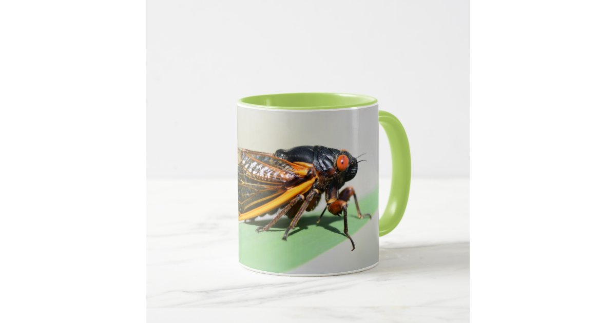 Periodical cicada mug - enjoy coffee with Brood X | Zazzle