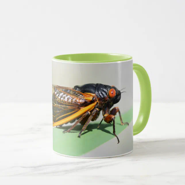 Periodical cicada mug - enjoy coffee with Brood X | Zazzle