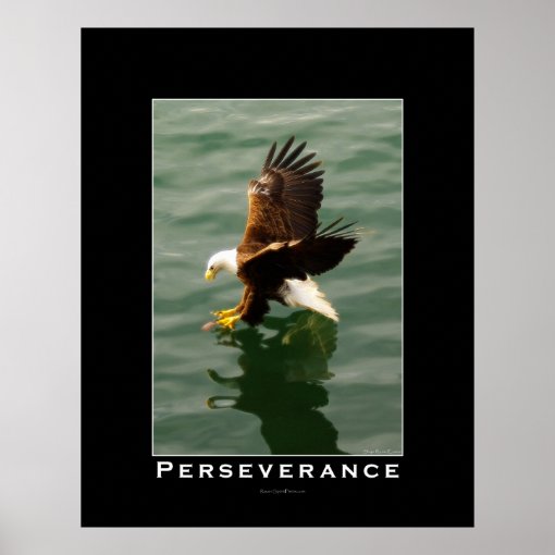 PERSEVERANCE Bald Eagle Motivational Art Poster | Zazzle