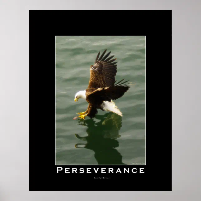 PERSEVERANCE Bald Eagle Motivational Art Poster | Zazzle