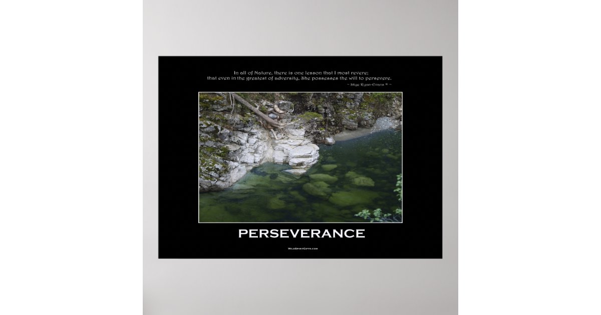 PERSEVERANCE Nature Poster | Zazzle