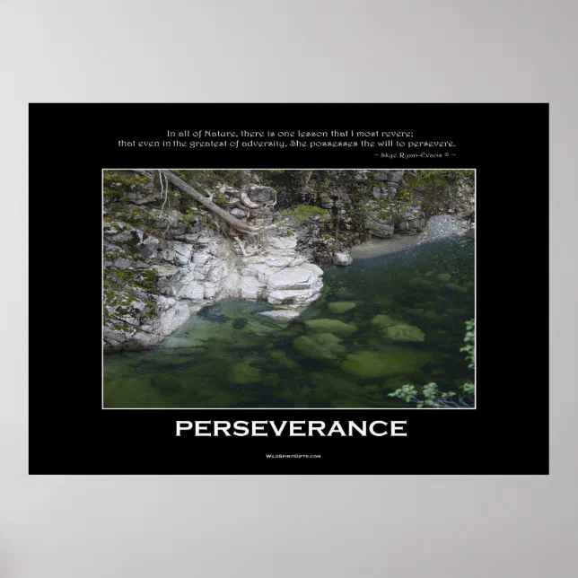 PERSEVERANCE Nature Poster | Zazzle