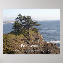 Perseverance Poster | Zazzle