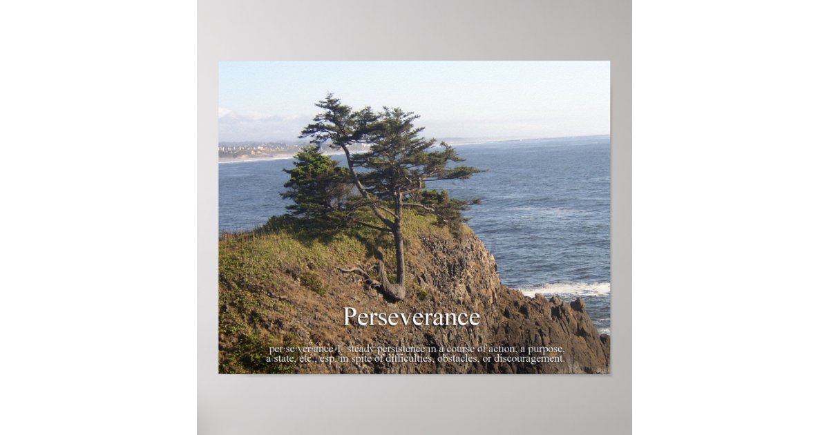 Perseverance Poster | Zazzle