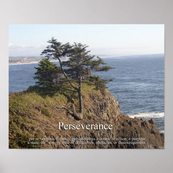 Perseverance Poster | Zazzle