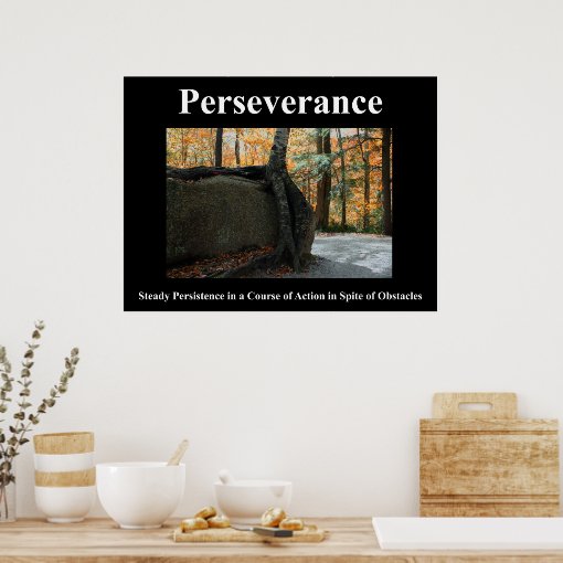 Perseverance Poster | Zazzle