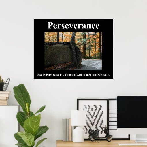 Perseverance Poster | Zazzle
