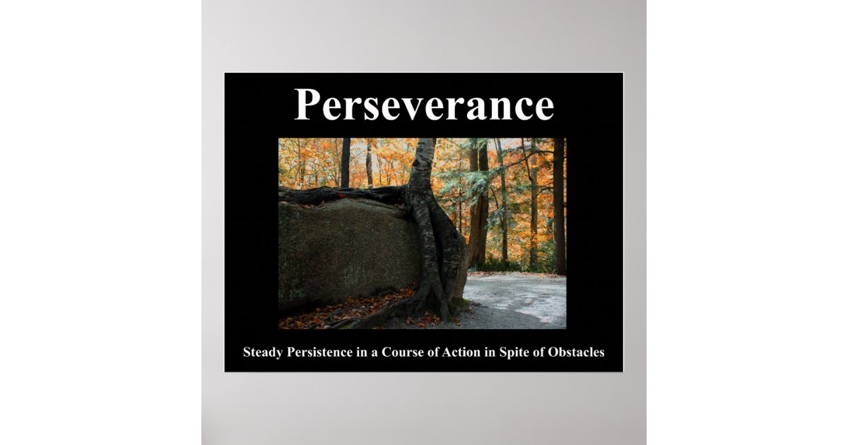 Perseverance Poster | Zazzle