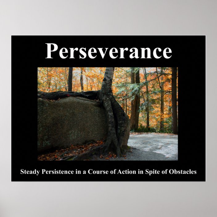 Perseverance Poster | Zazzle.com