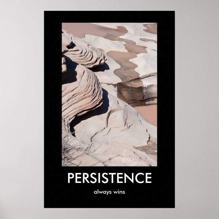 PERSISTENCE, always wins Demotivational Poster | Zazzle.com