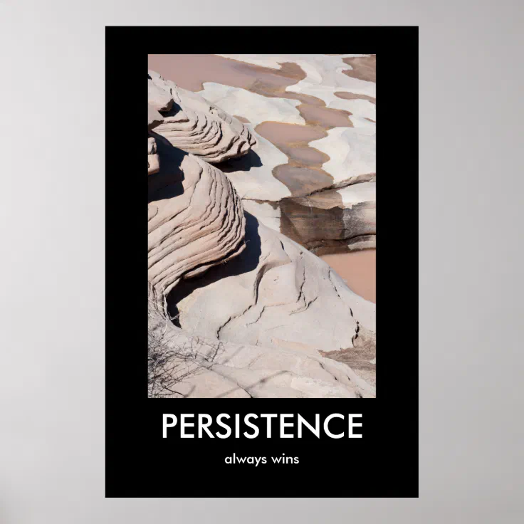 PERSISTENCE, always wins Demotivational Poster | Zazzle