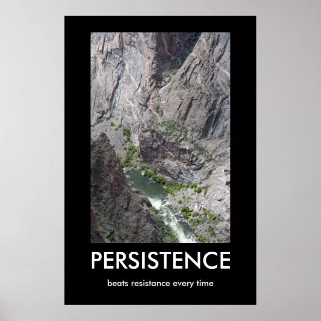 Persistence Demotivational Poster | Zazzle